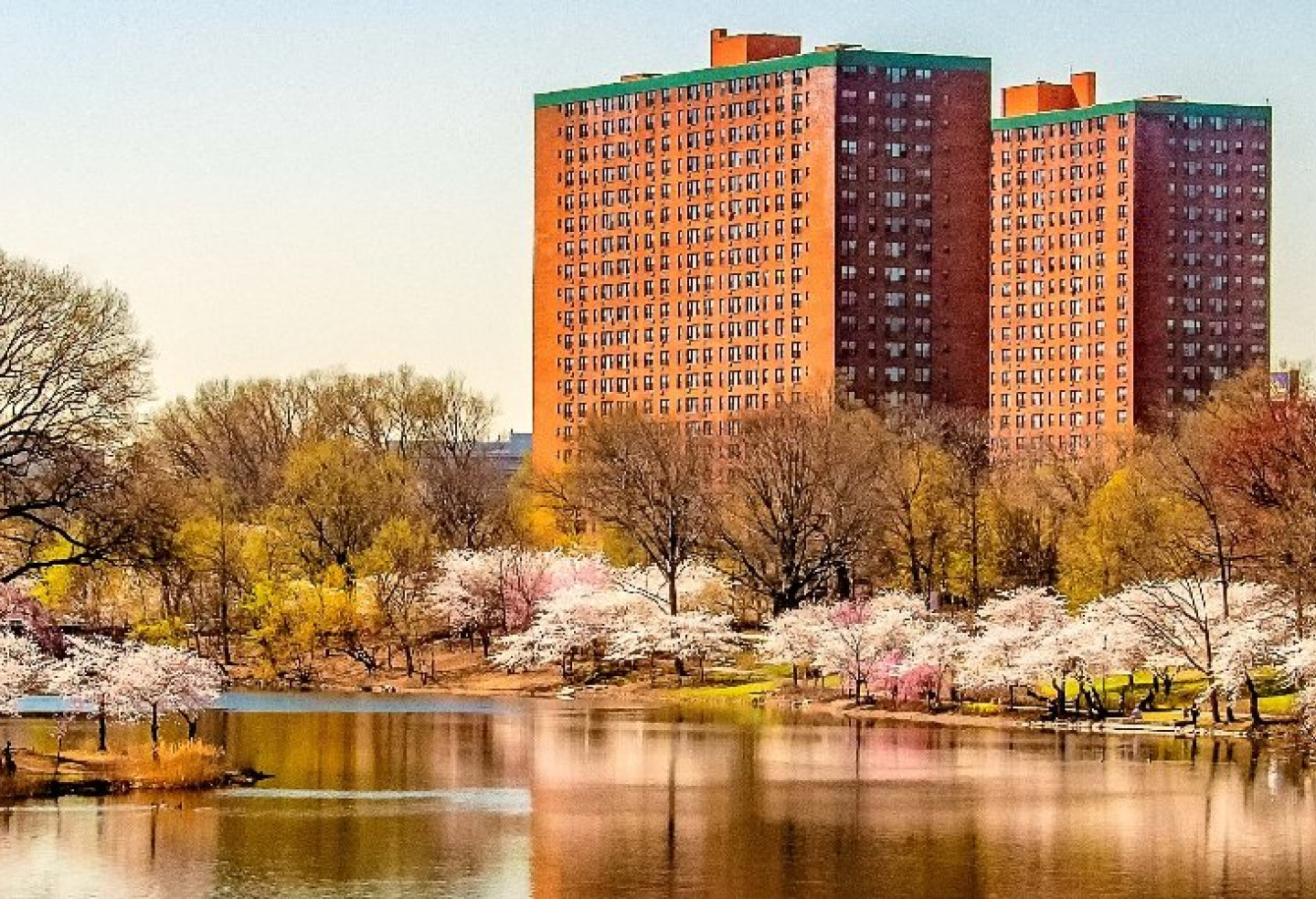 Public Adjusters Newark, New Jersey | Goodman Gable Gould/Adjusters International